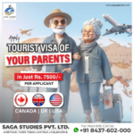 Tour and Travels | Explore International Tour Packages with SAGA